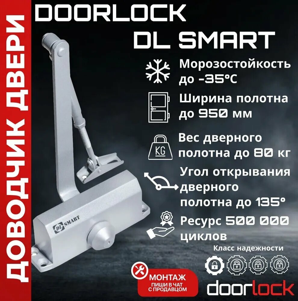 Doorlock Доводчик дверной до 80 кг DL SMART EN3, морозостойкий