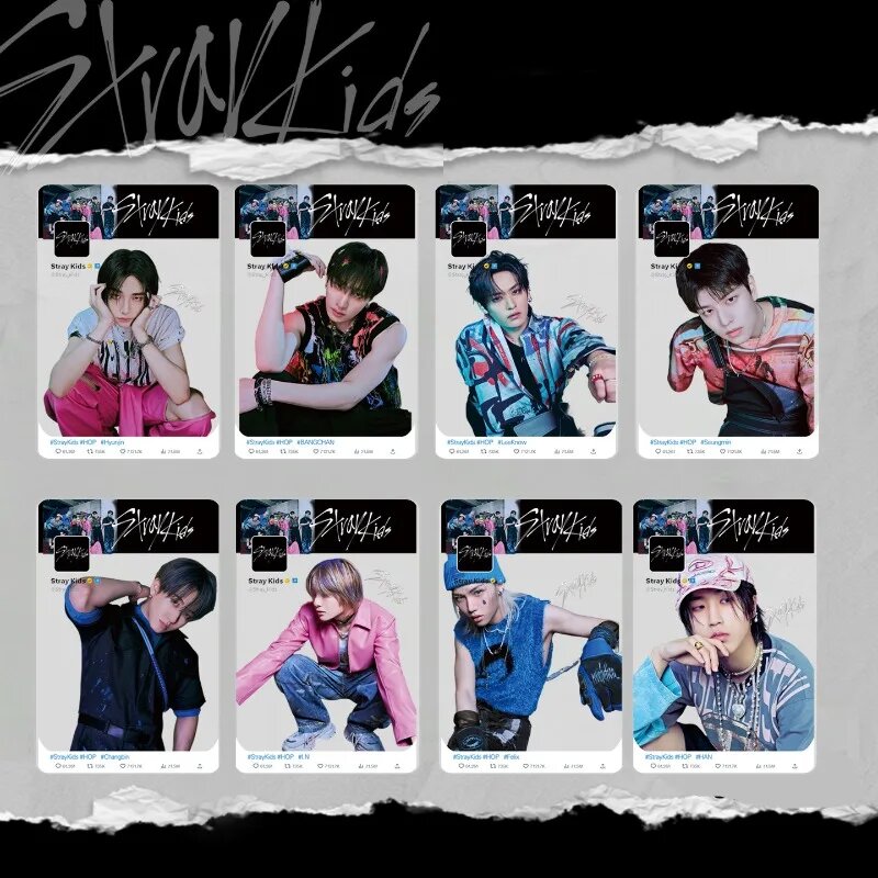 Коллекционная прозрачная карта Stray Kids SKZOO PuppyM Wolf Chan Foxi.ny Stray Kids-C