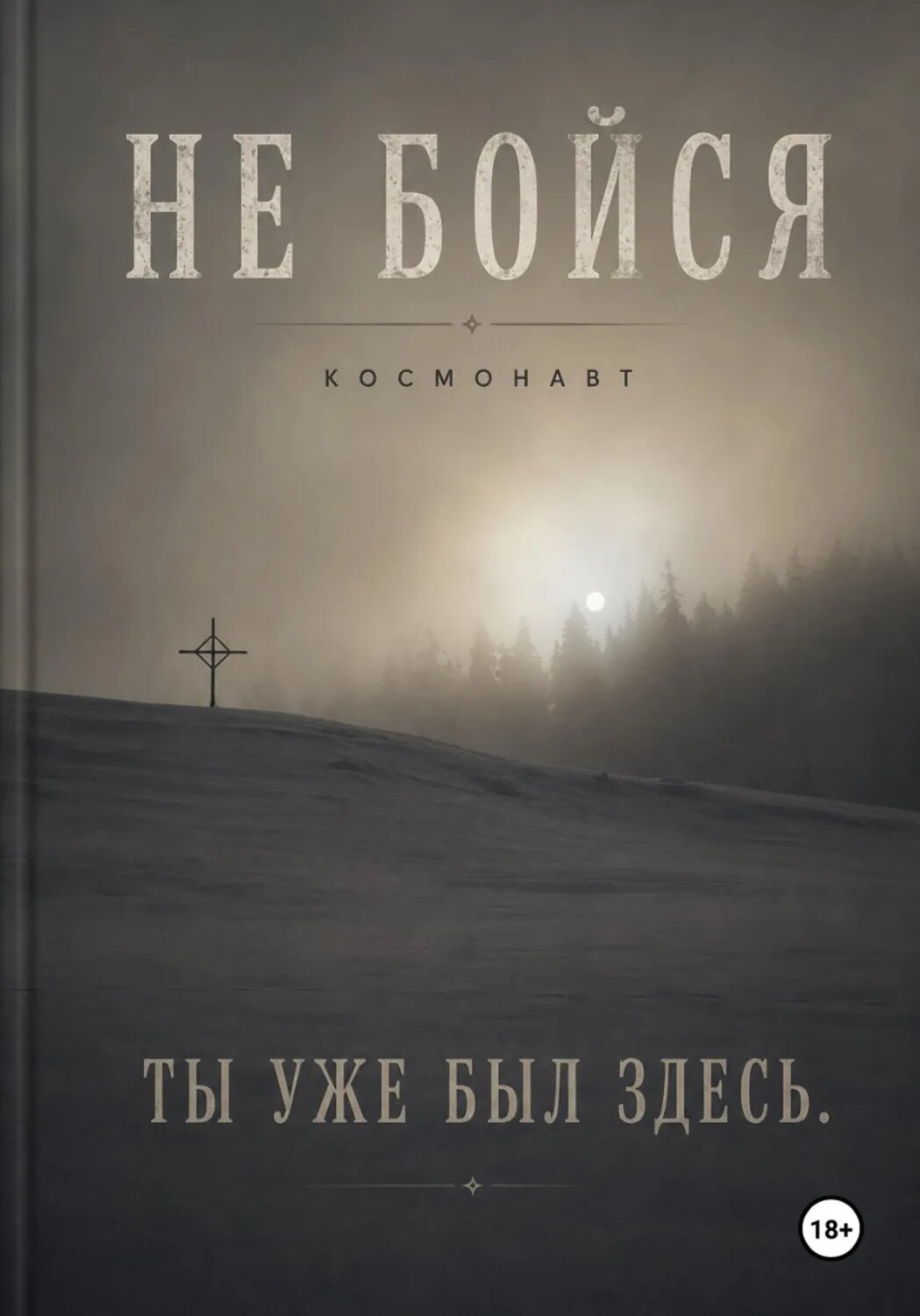 Не бойся [Цифровая книга]