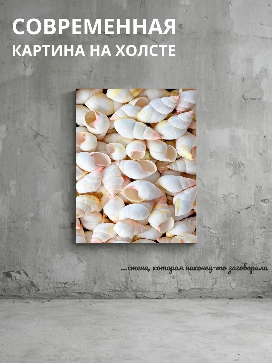 Картина на холсте Ракушка 50x70 см