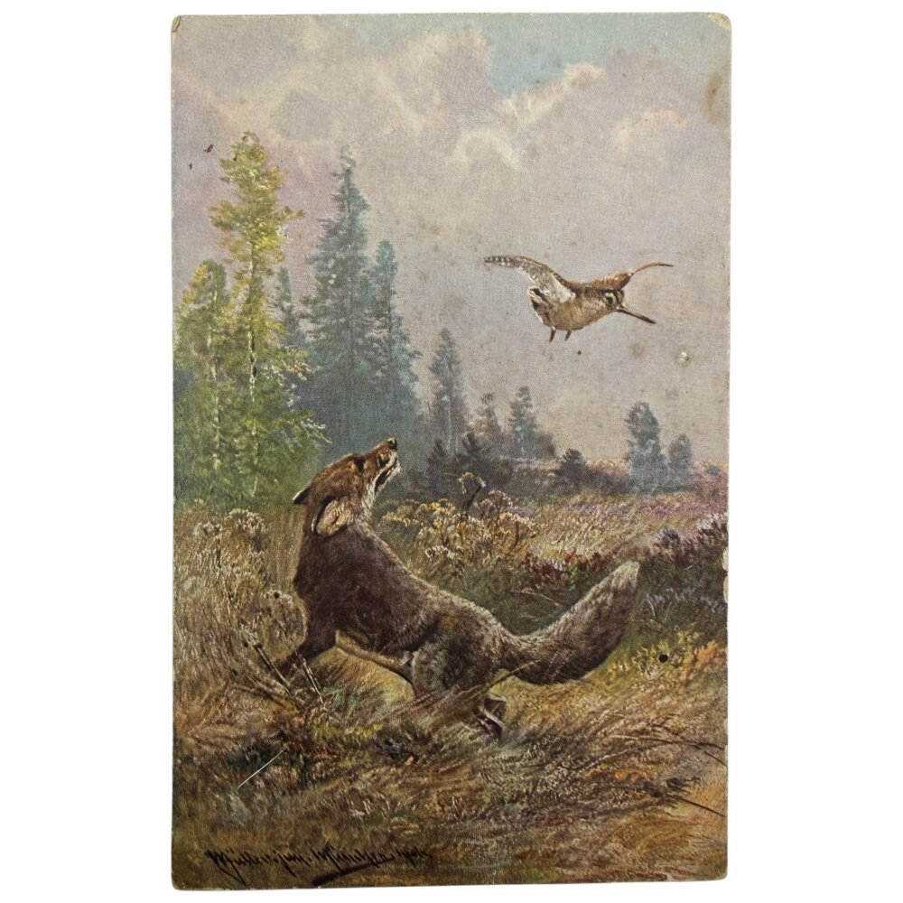 Почтовая открытка "Лиса и взлетающая птица" 1900-1917 гг. Германская Империя