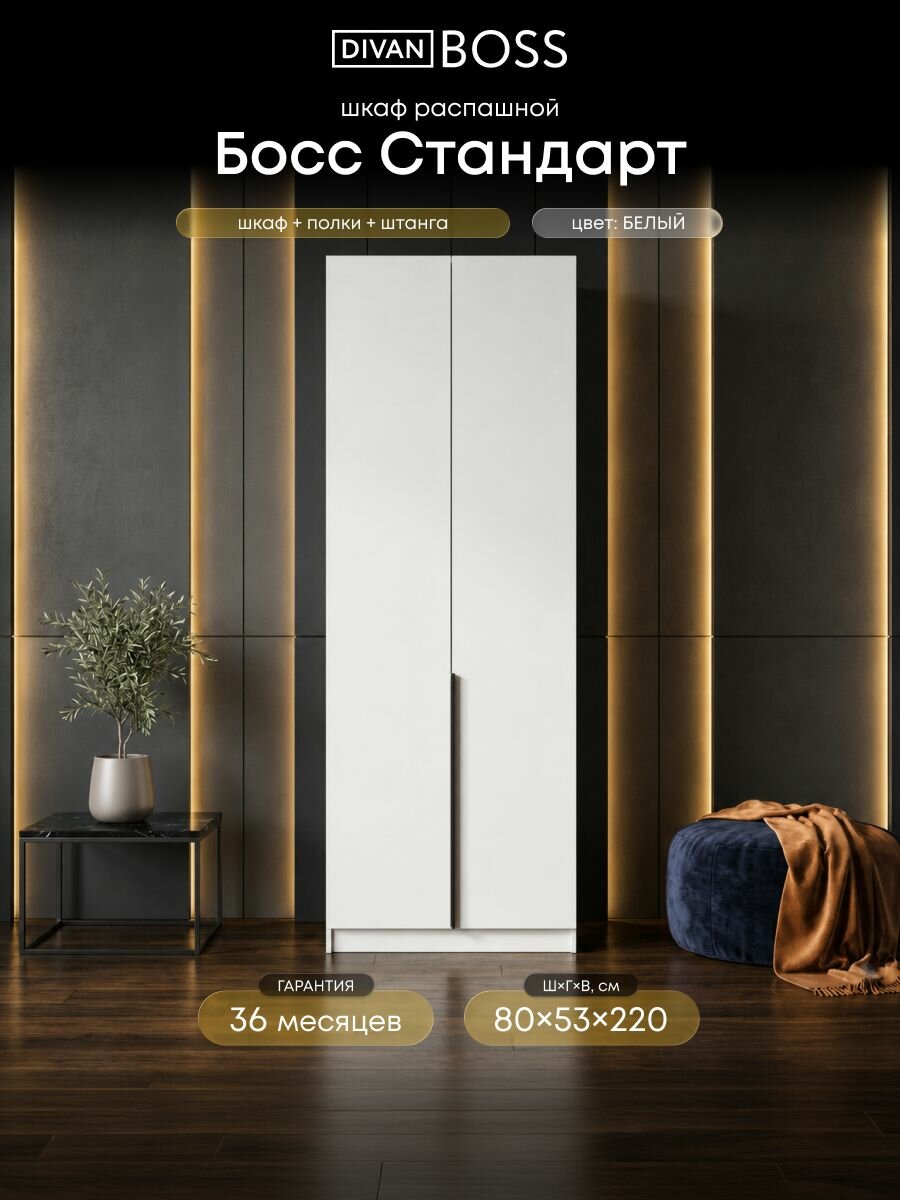 Шкаф распашной, Босс Стандарт, 80х53х220 см, 2х дверный, белый