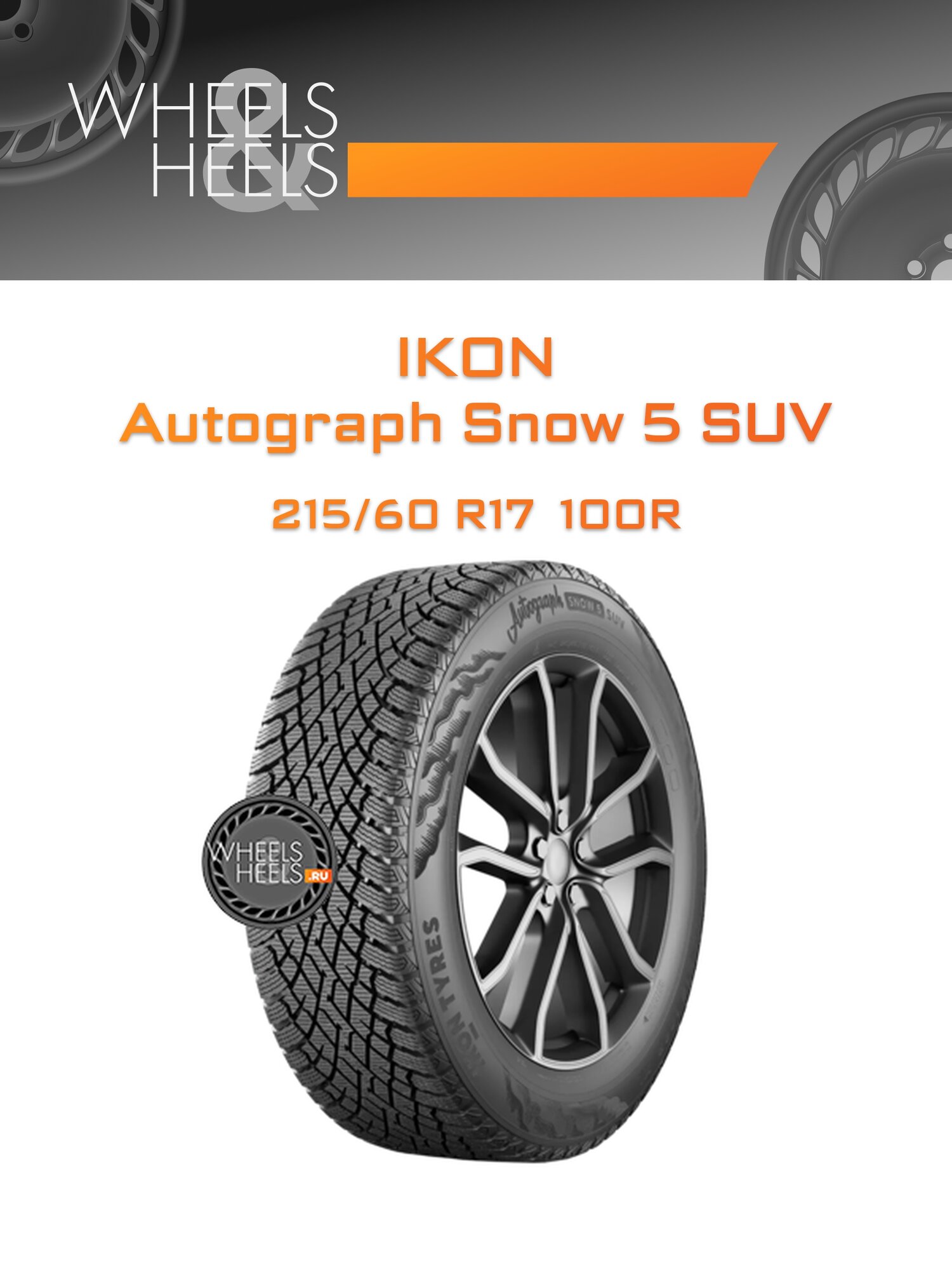 Шина автомобильная Ikon Autograph Snow 5 SUV SUV 215/60 R17 100R XL WINTER, зимняя, универсальная