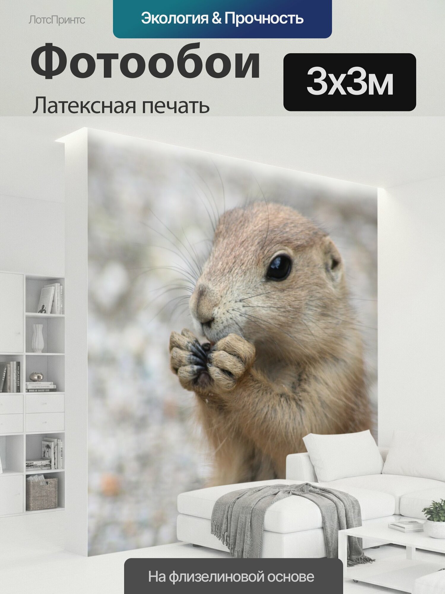 Фотообои моющиеся ударопрочные "Луговые собачки, зоопарк, животные" 300x300 см. латексная печать