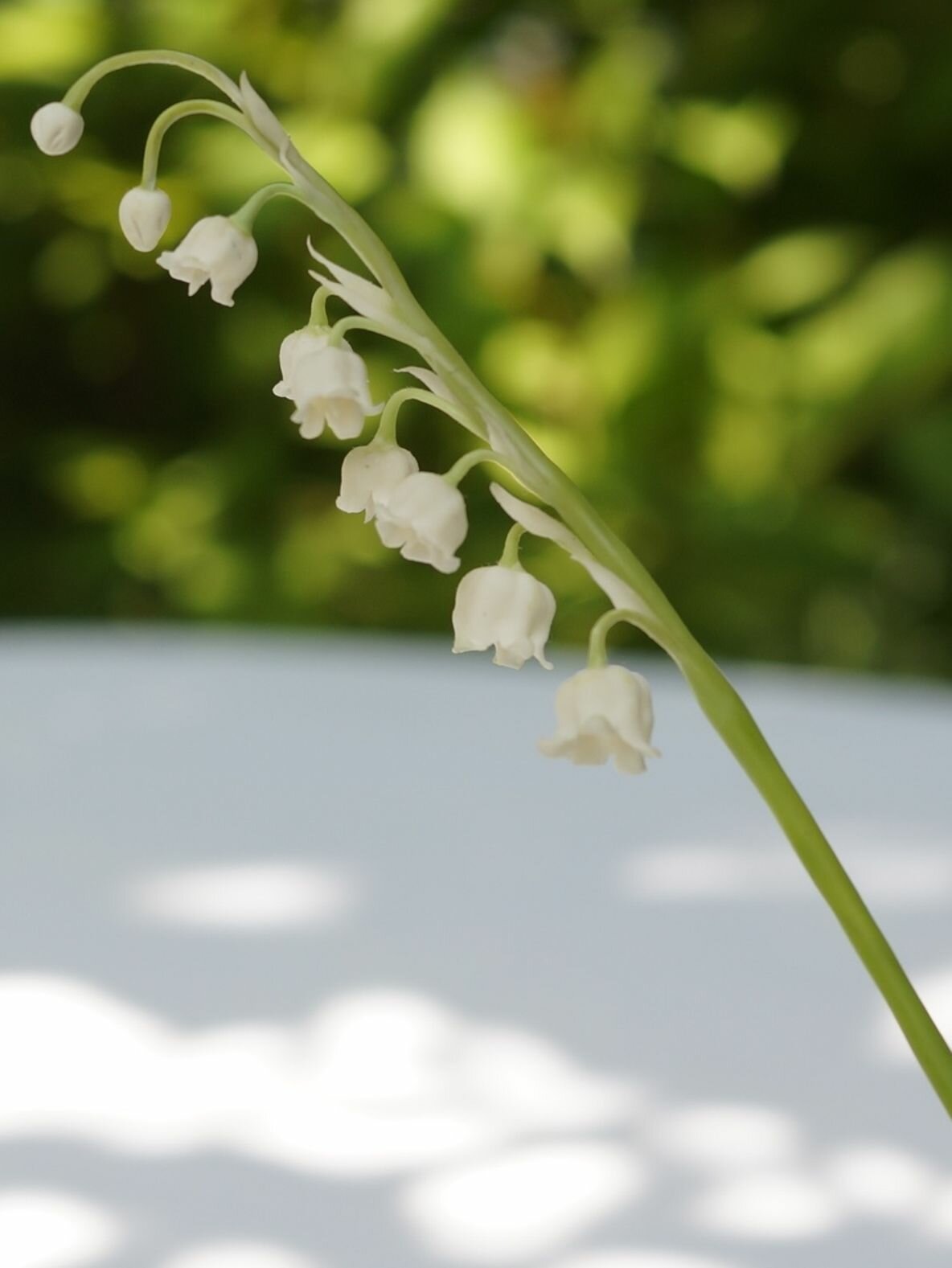 Real Flower Ландыши цветы ручной работы - искусственные цветы