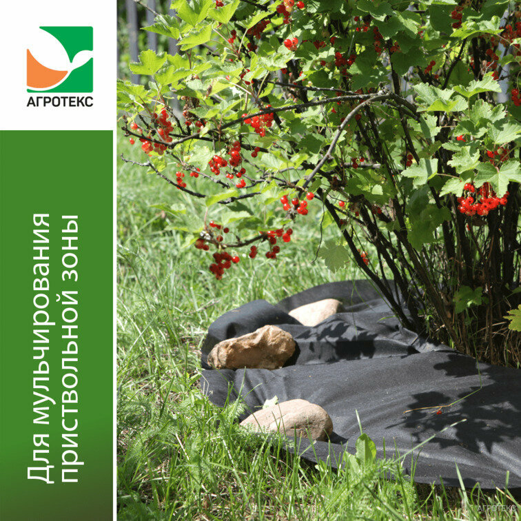Приствольный круг диаметр 80см (0,8м). 5 шт. в упаковке, с защитой 60УФ. Агротекс Спанбонд, мульча от сорняков. Для деревьев, кустарников, хвойных, стелющихся, низкорослых и колючих растений.