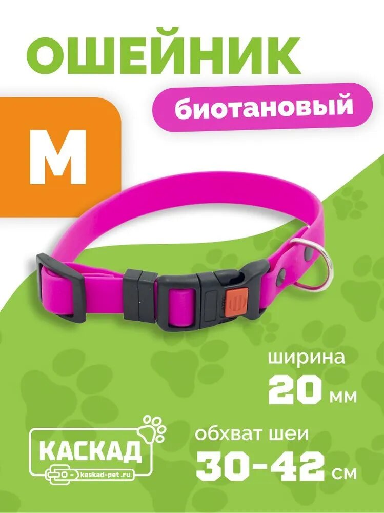 Ошейник