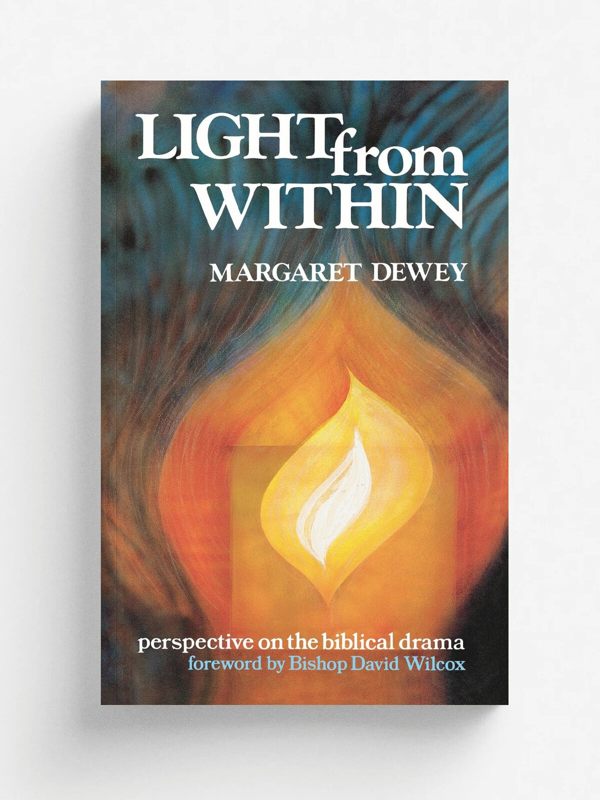 Light from Within. Perspective on the Biblical Drama