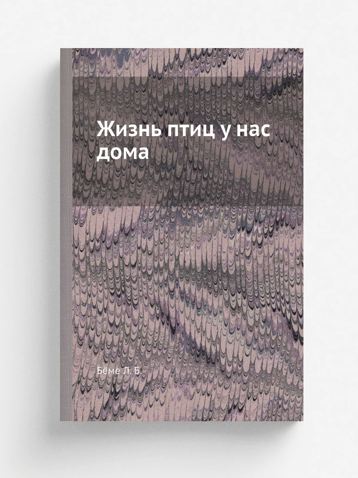 Жизнь птиц у нас дома