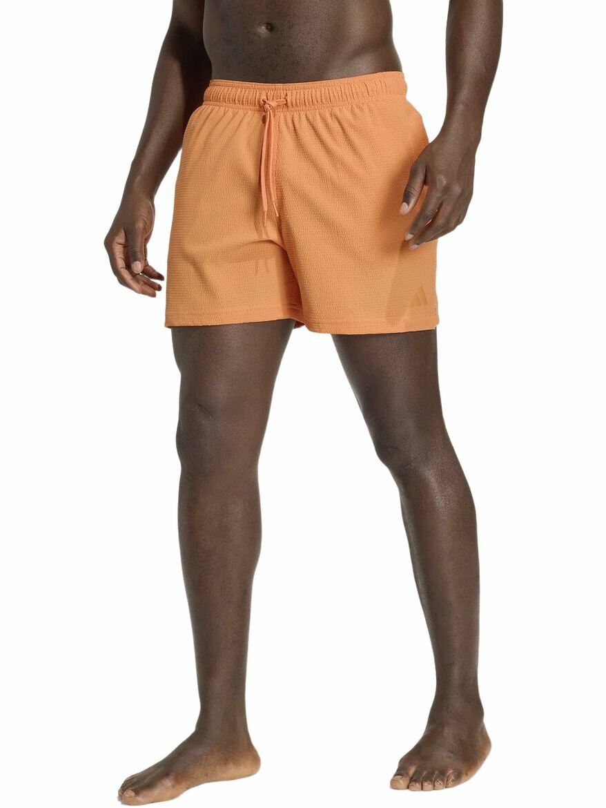 Шорты спортивные Iconisea Stretchy Seersucker Swim 5 Inch Shorts