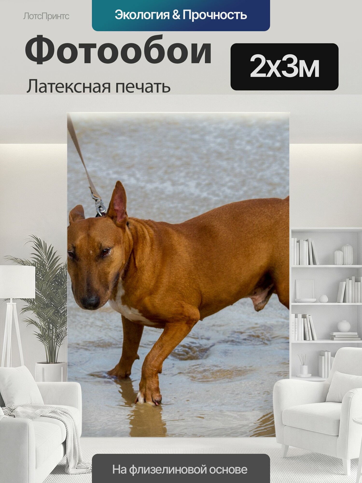 Фотообои моющиеся ударопрочные "Собака, миниатюра, бультерьер" 200x300 см. латексная печать