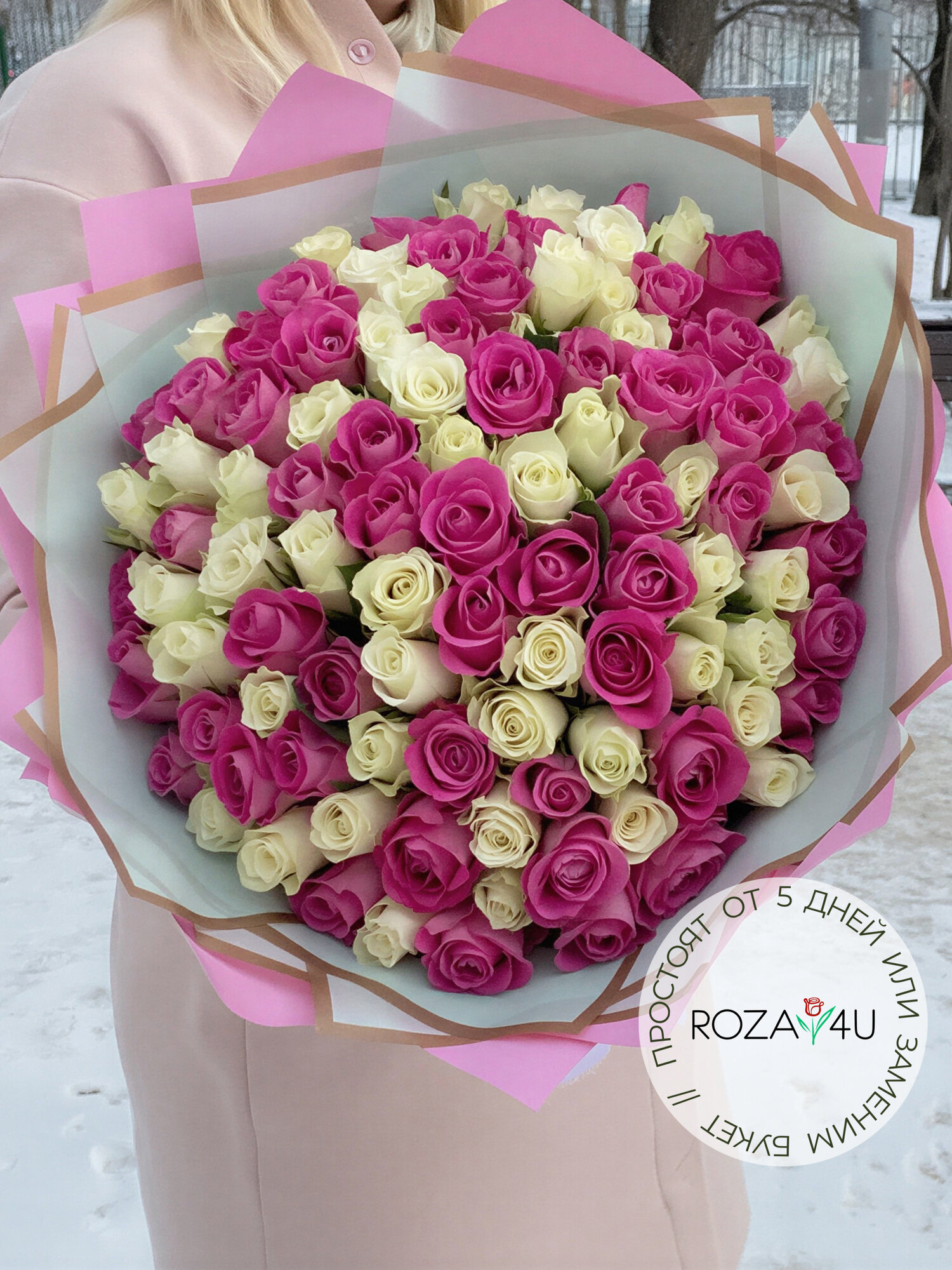 Букет цветов 101 бело-розовая роза, высота 40 см, микс живых цветов от ROZA4U