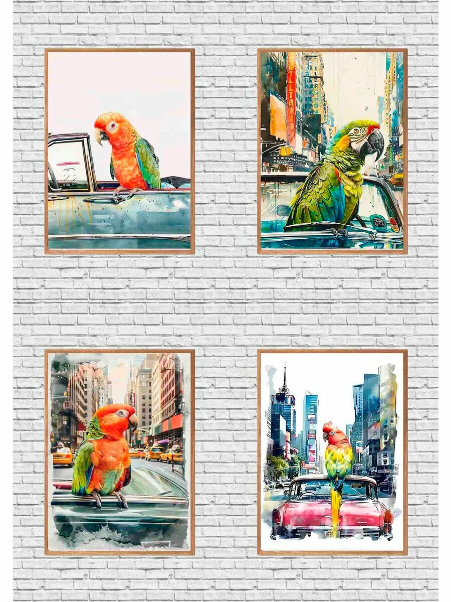 Птица-попугай-миллиардер, 4 Плаката, 30x21см