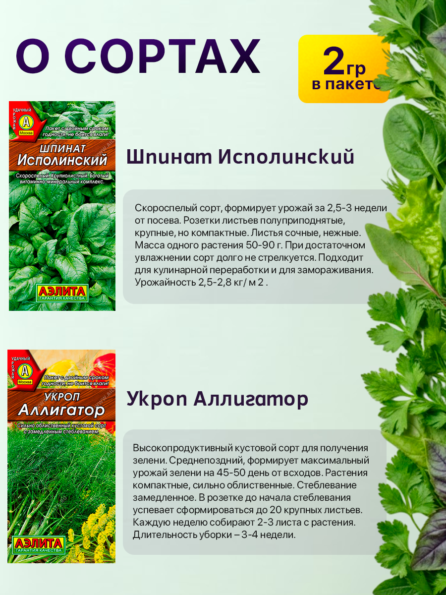 Семена салата и зелени, выгодный набор, Агрофирма аэлита, 15 шт — фото 1