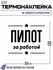Термонаклейка Пилот