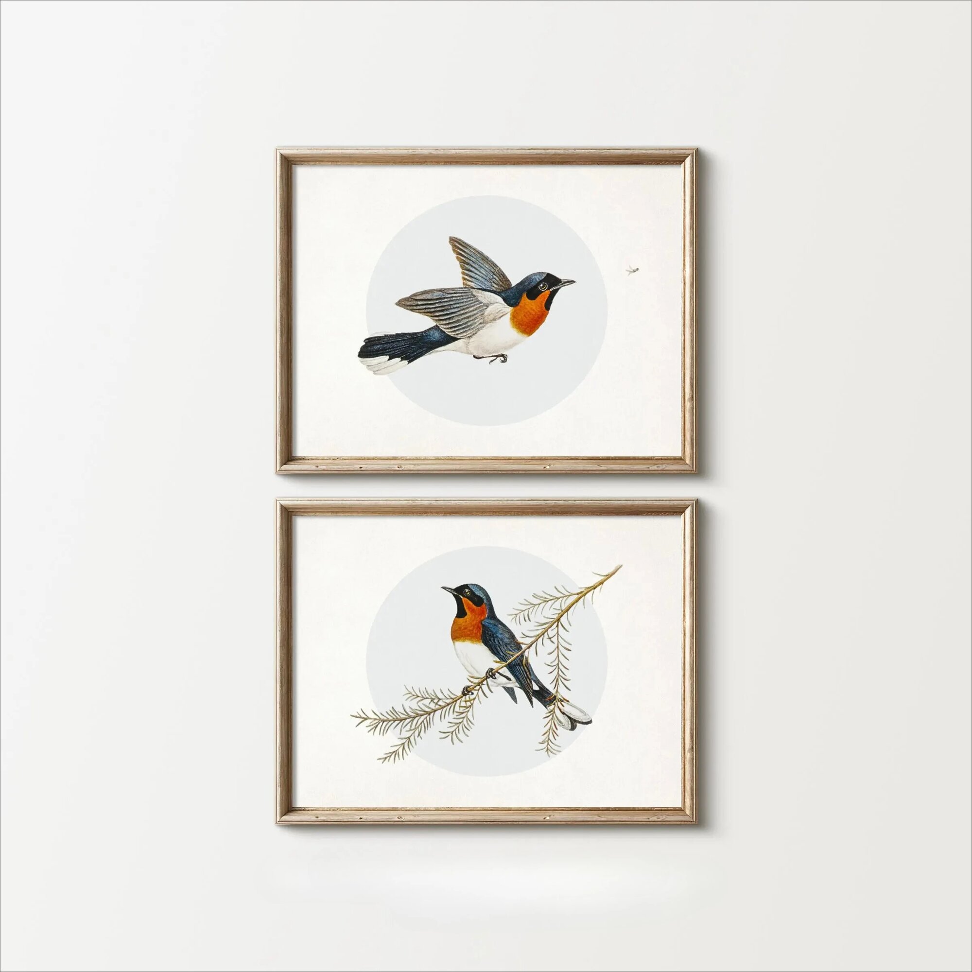 Набор из 2-х холстов "Колибри" HALFLEMART TT353-2pcs, 20x30cm no frame