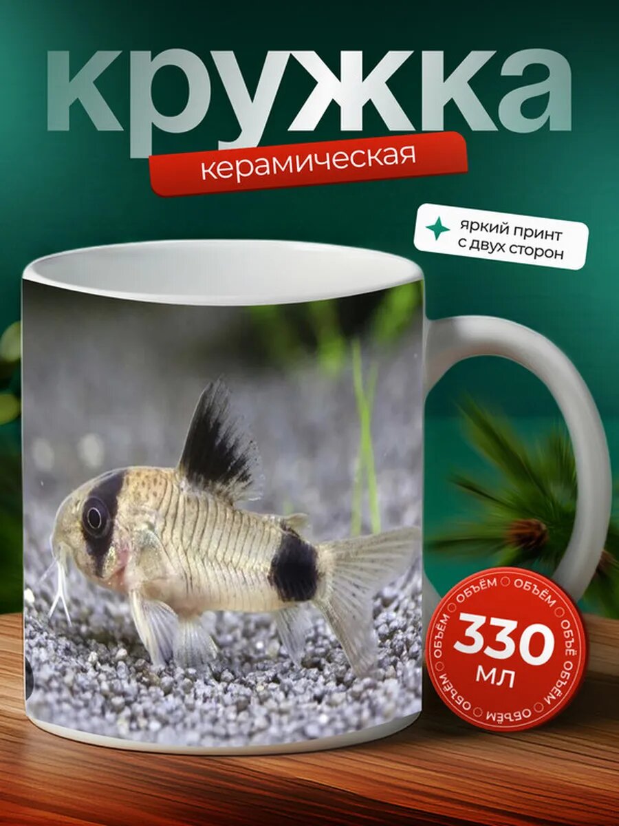 Кружка Сомик-коридорас рыбка 6,