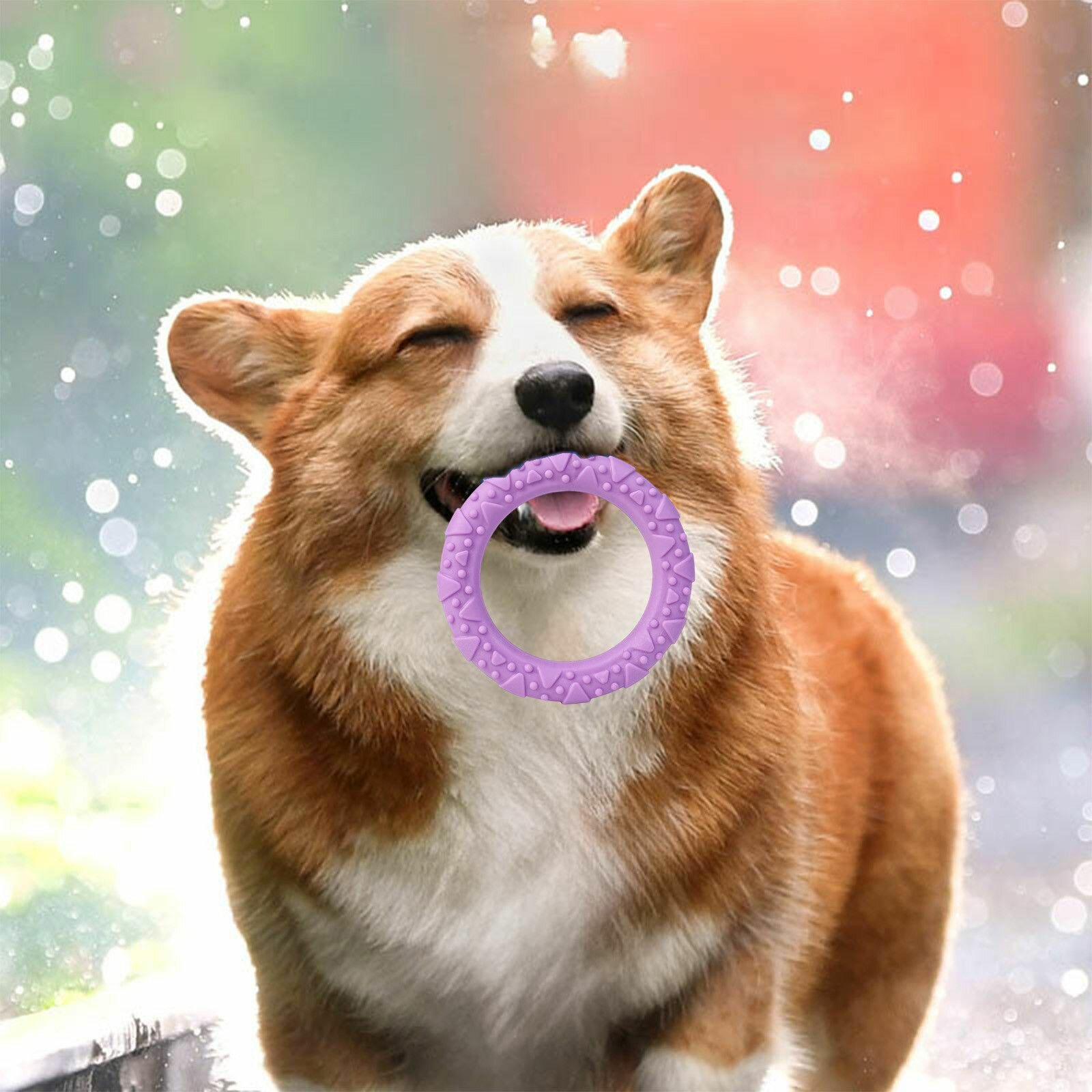 Интерактивные игрушки для домашних животных