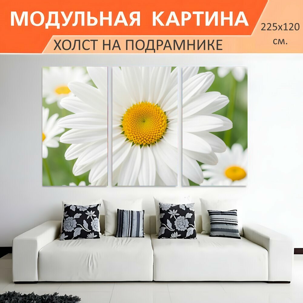 Модульная картина на холсте "Белые ромашки в зелёном поле. Крупный макрос цветущих полевых цветов с белоснежными лепестками и." триптих на подрамнике 225х120 см. для интерьера