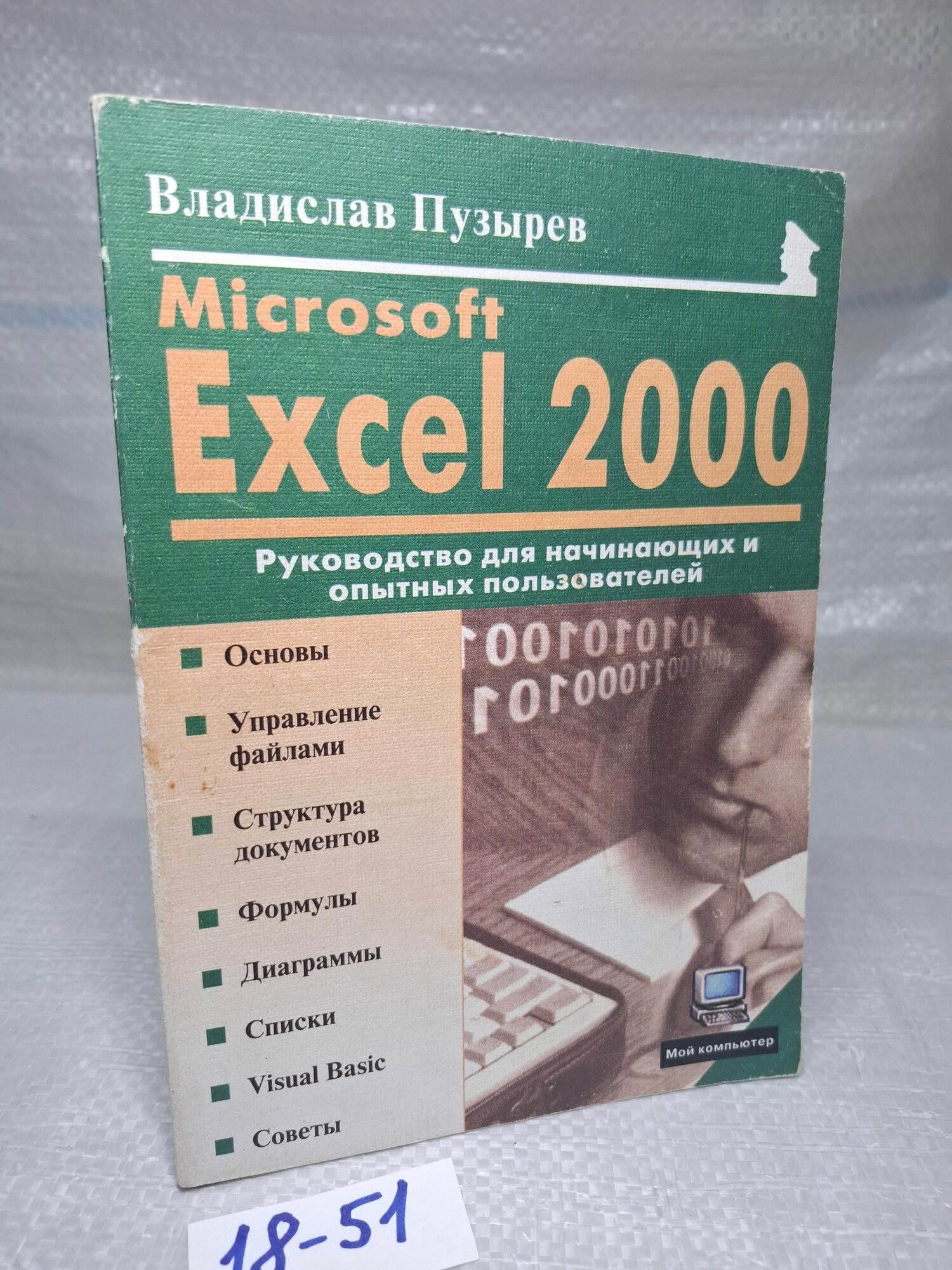 Microsoft Excel 2000: Руководство для начинающих и опытных пользователей , Пузырев В.