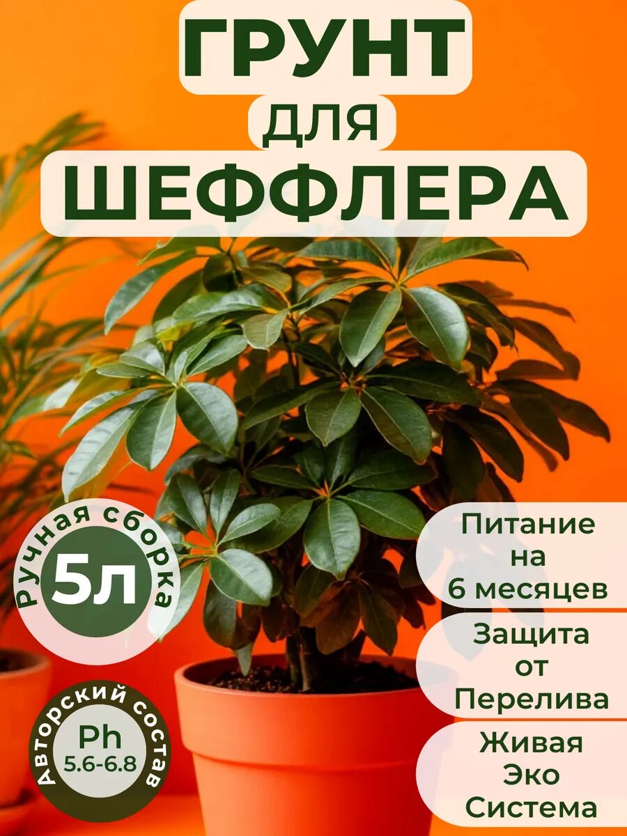 Готовый авторский грунт для Шеффлера, премиум 5 литров