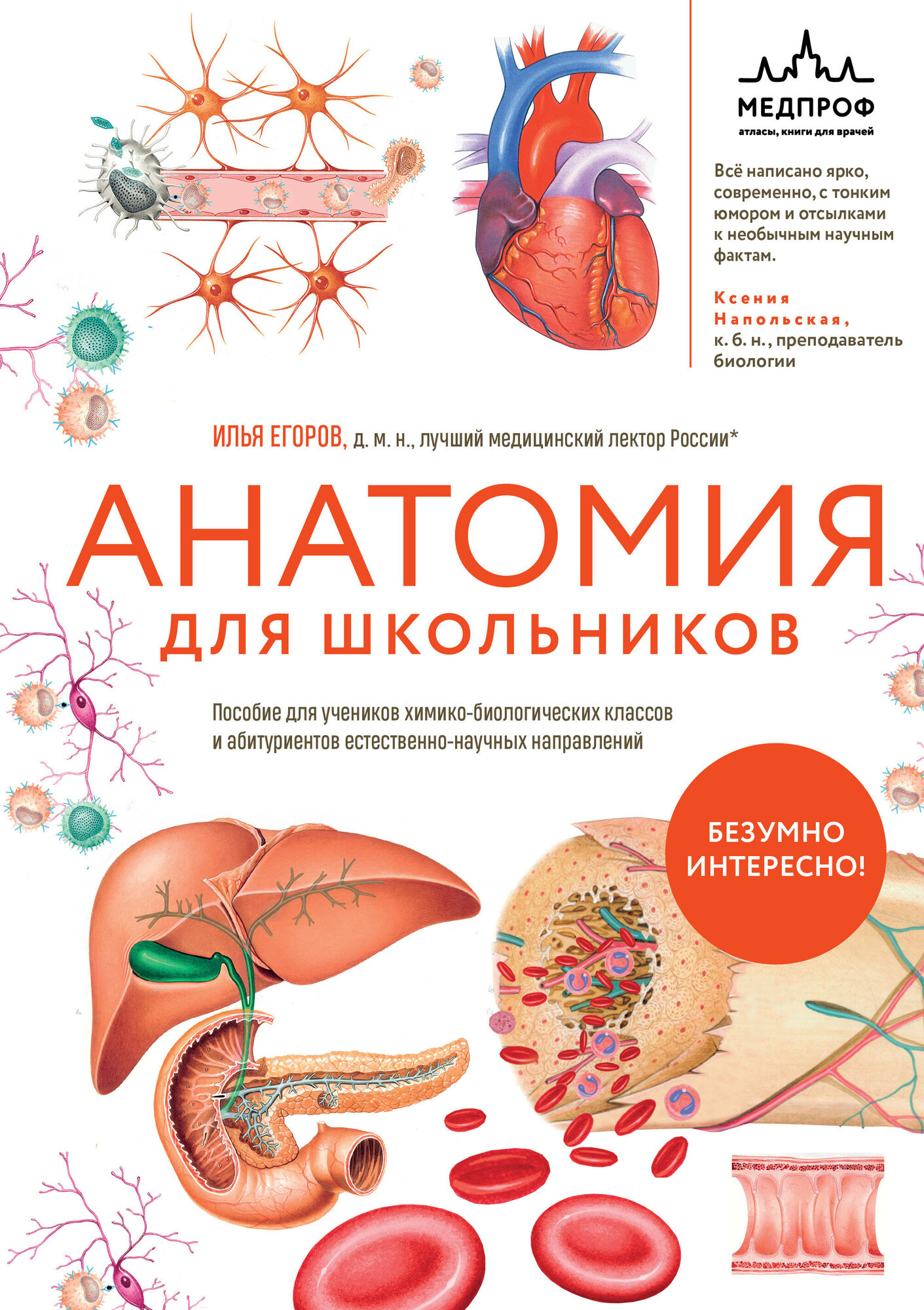 Анатомия для школьников. Пособие для учеников химико-биологических классов и абитуриентов естественно-научных направлений, 2026, автор Егоров И.