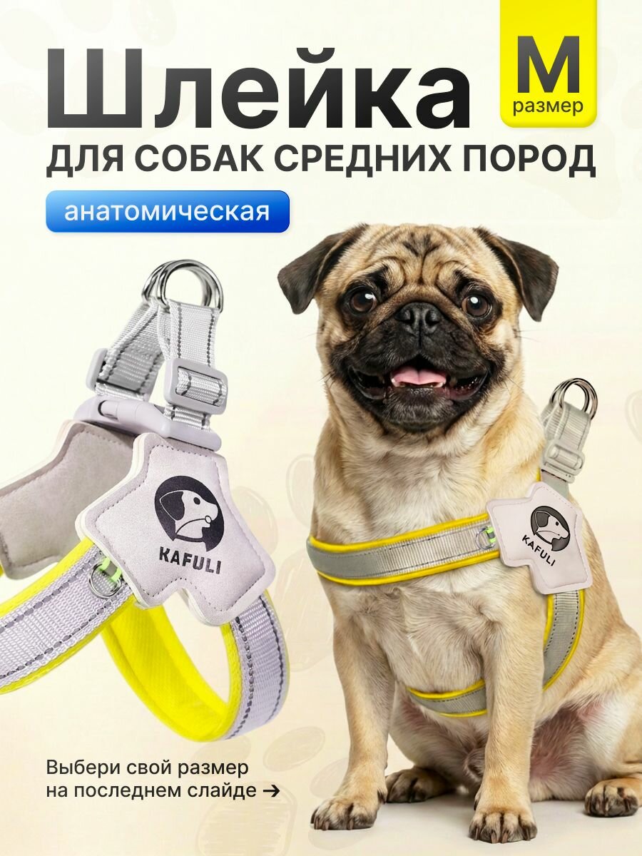 Шлейка для собак жёлтая до 10кг, со светоотражающим элементом, для средних пород, универсальная, прогулочная.