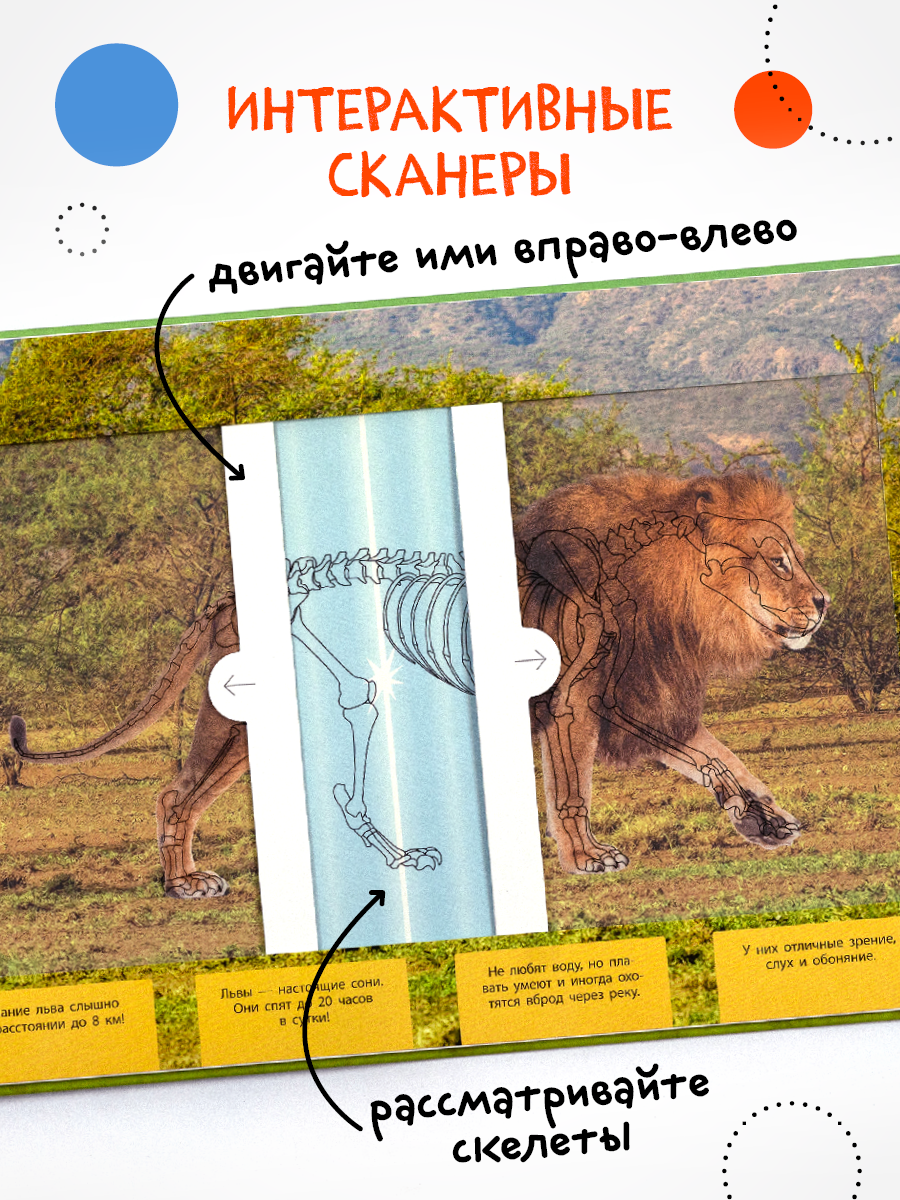 Интерактивная книга Животные мозаика kids для детей, Рентгенорама, Умная книжка сканер, рентген вставки — фото 1