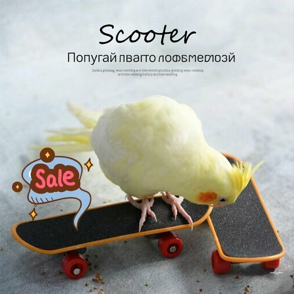 Интерактивный скейтборд для попугаев Geledor: развивающая игрушка-тренажер для мелких и средних птиц (1 шт.)