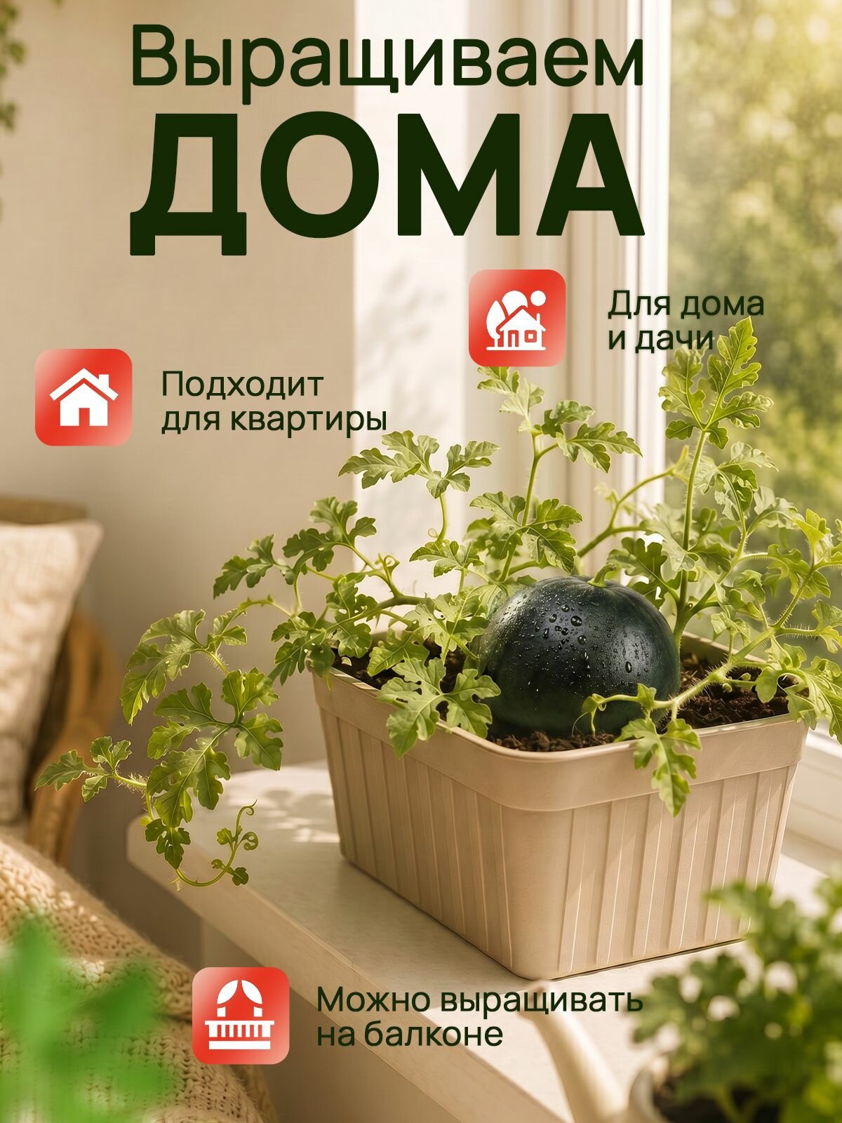 Семена Арбуза мини 10 штук Про Растения адаптированы для домашнего выращивания — фото 1