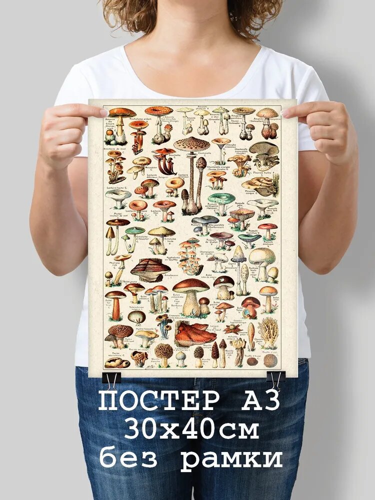 Постер, 40 см х 30 см — фото 1