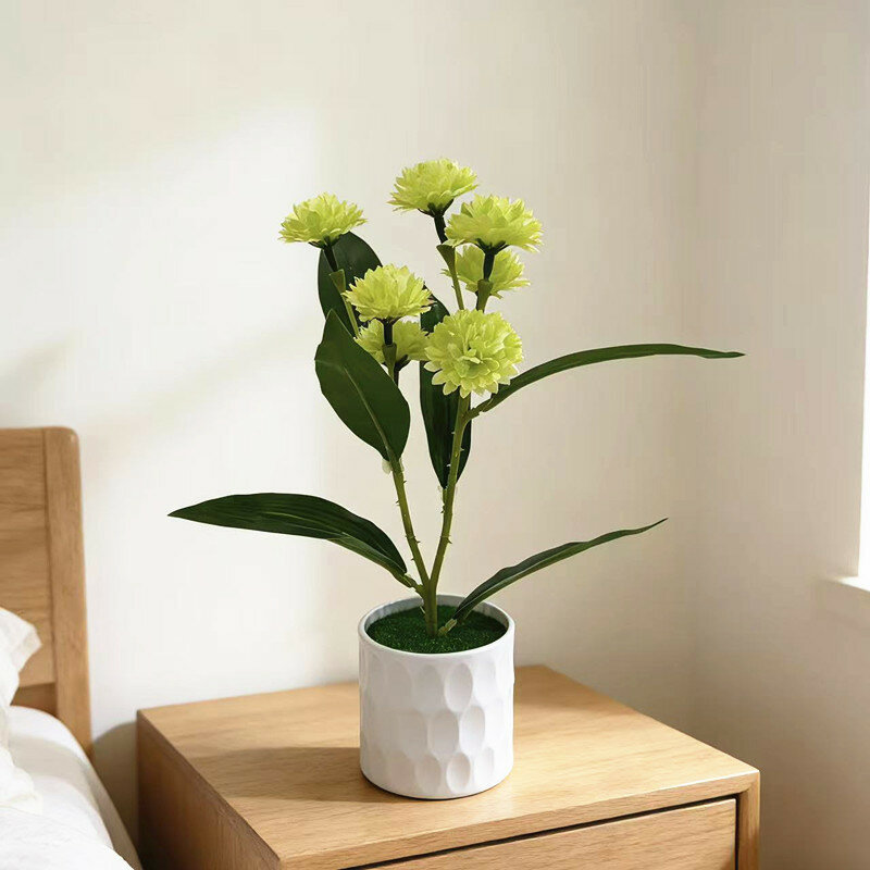 Carnation plant for indoor garden office desk decoration with durable material green