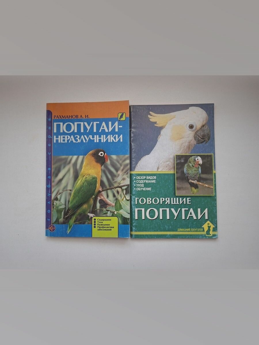 Попугаи-неразлучники. Говорящие попугаи.