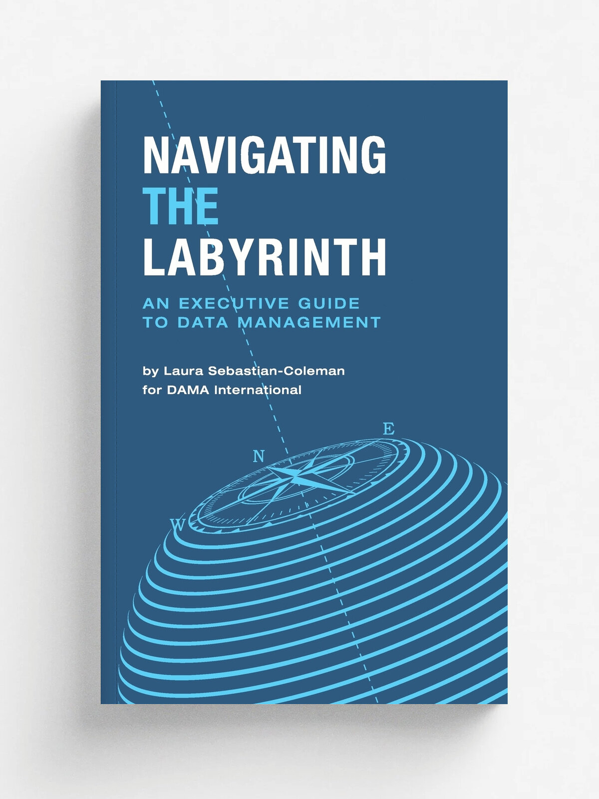Navigating the Labyrinth. An Executive Guide to Data Management