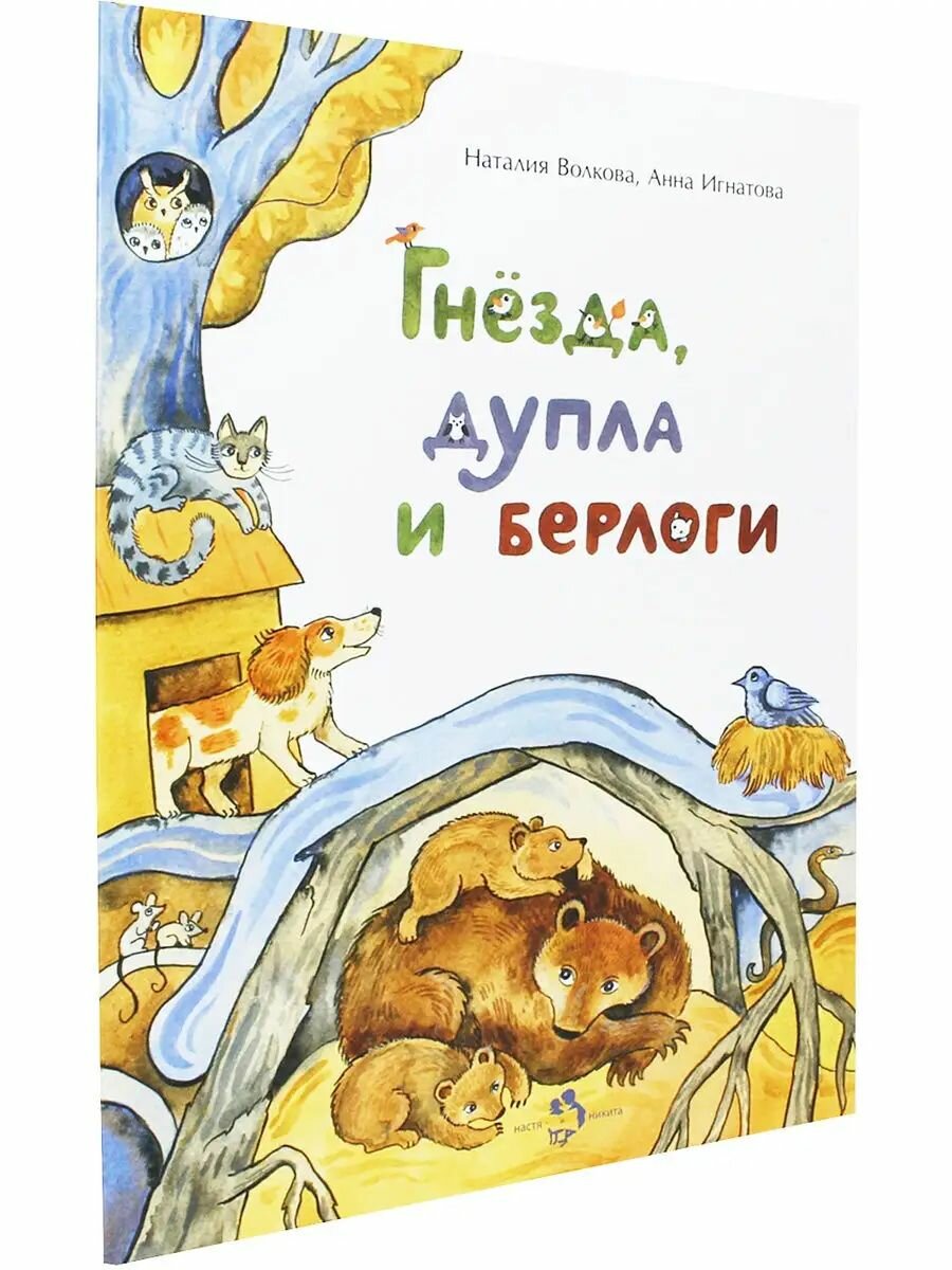 Гнёзда, дупла и берлоги — фото 1