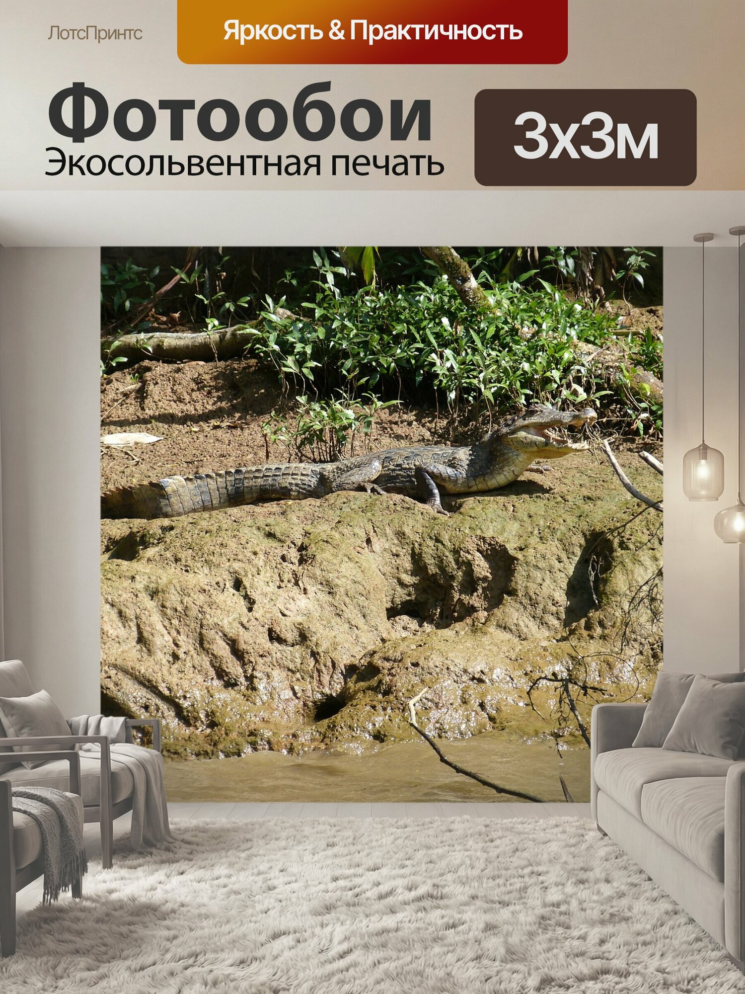 Фотообои "Кайман, рептилия, животное" 300x300 см. экосольвентная печать