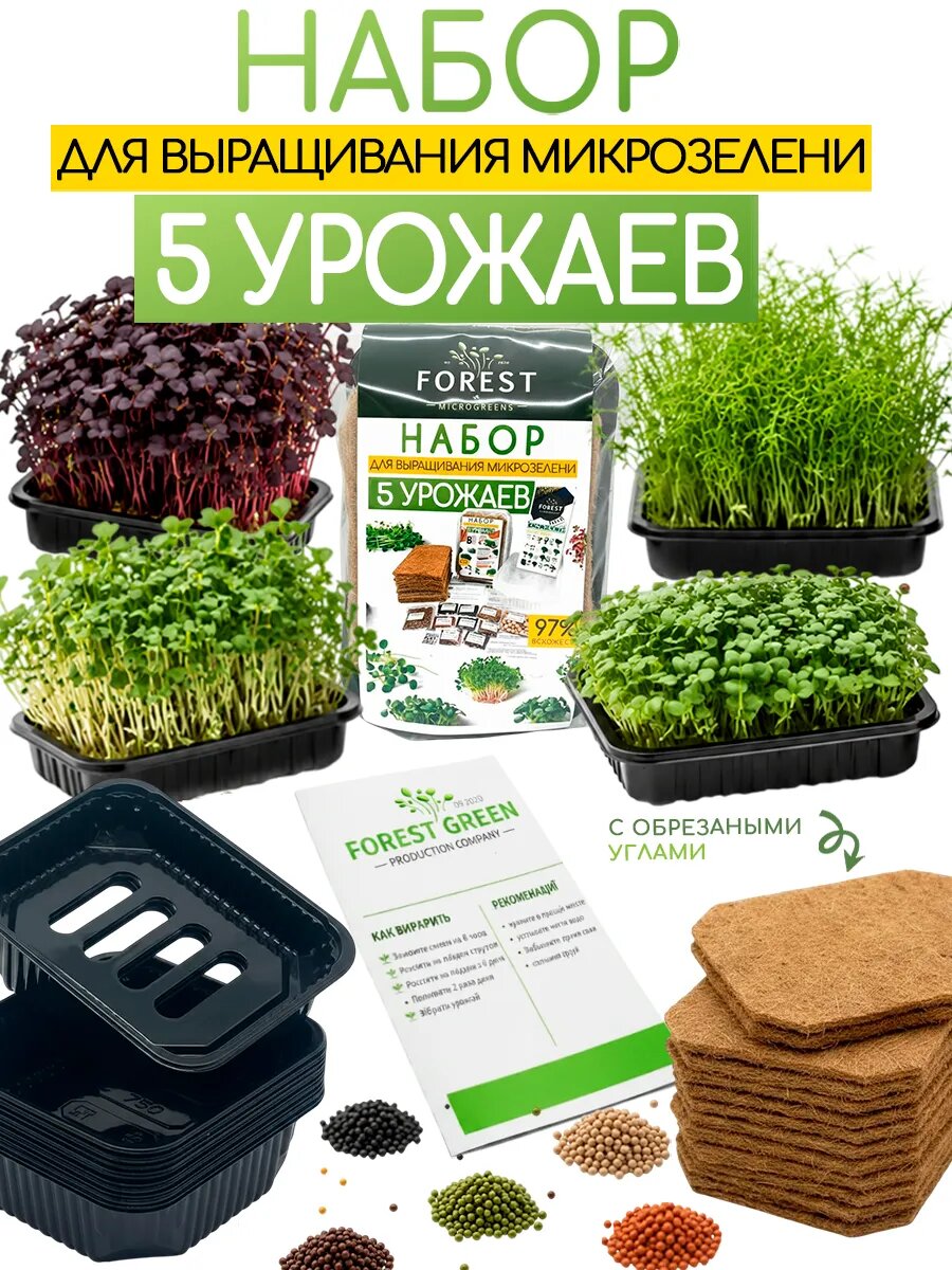 Набор для выращивания Forest 5 Урожаев, 5 пакетиков, семена микрозелени
