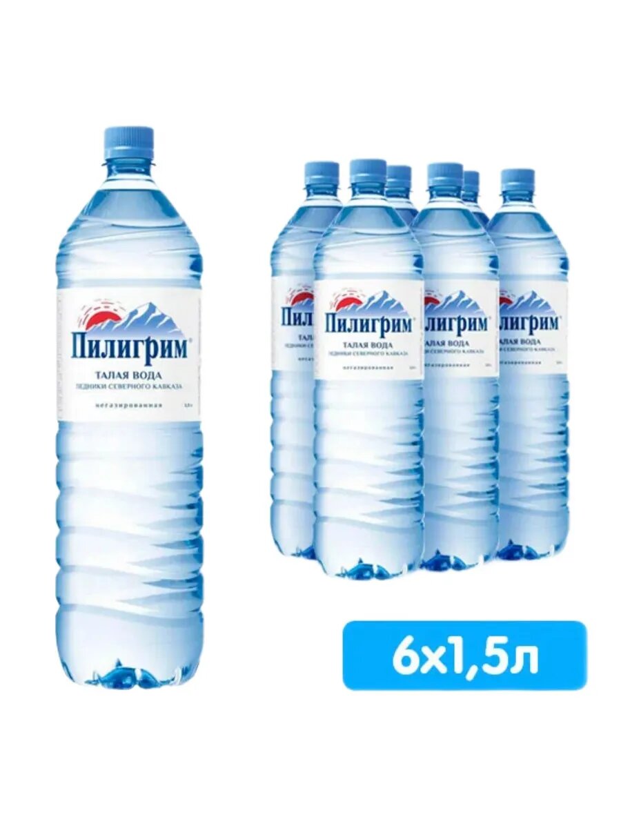 Пилигрим Вода минеральная природная, 6 шт по 1.5 л