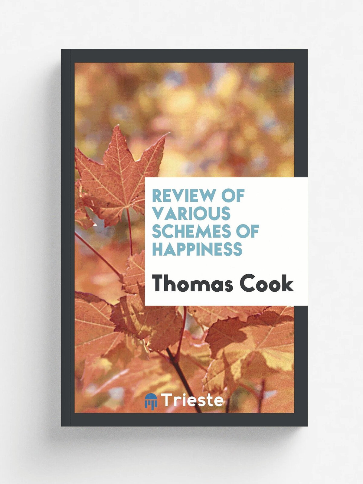 Review of Various Schemes of Happiness