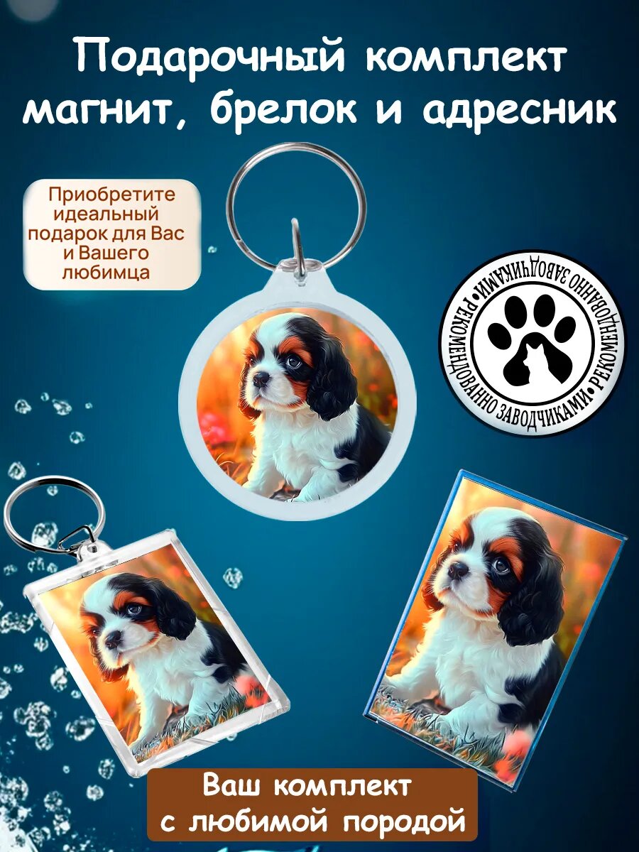 Подарочный комплект магнит брелок адресник