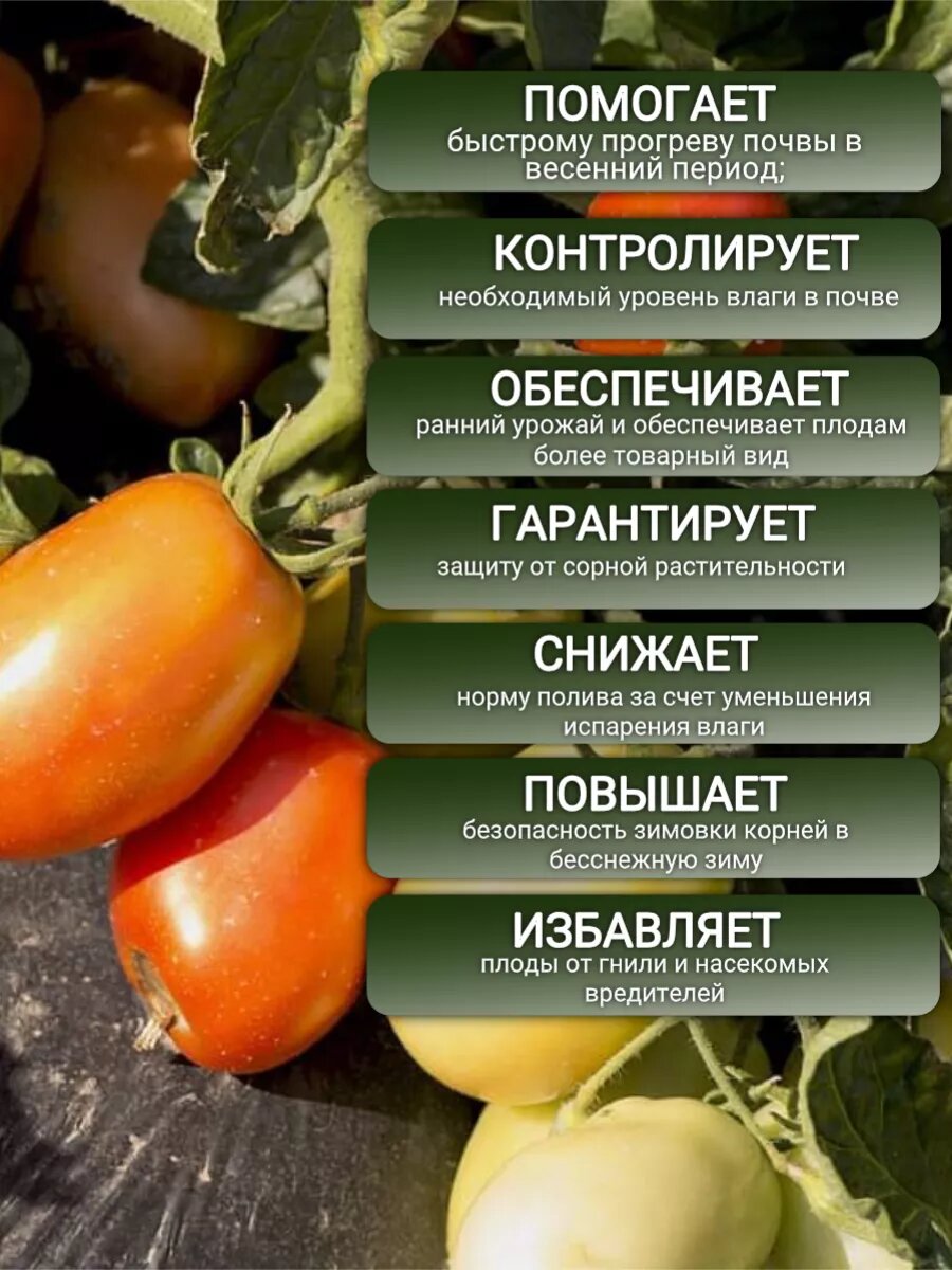 Агроспанбонд черный 1,6м мульча — фото 1