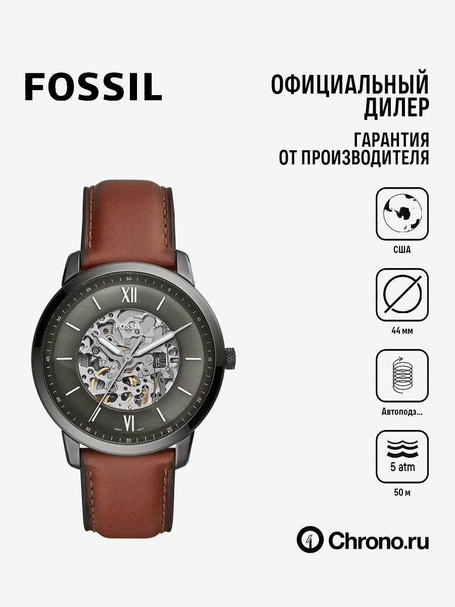  FOSSIL Neutra