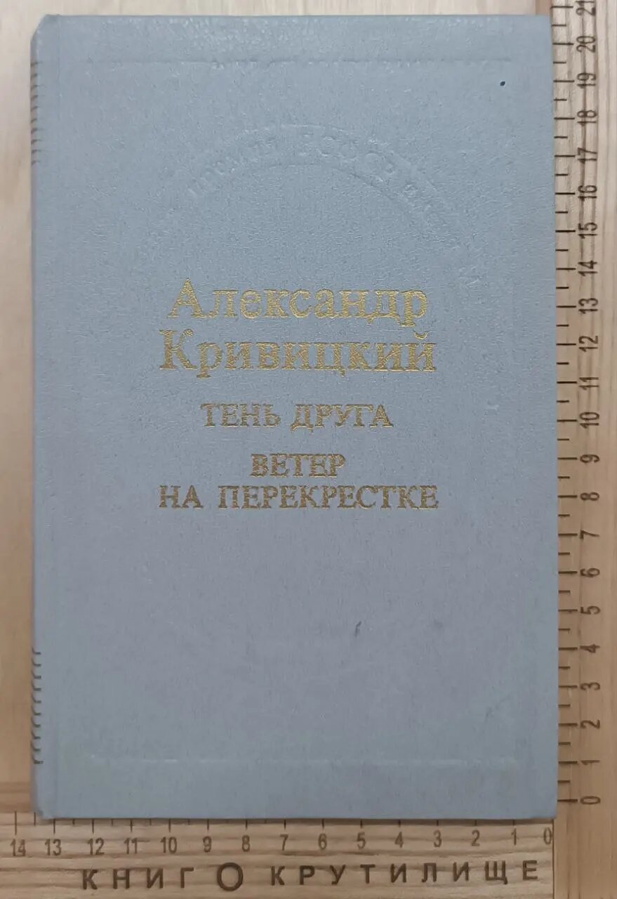Тень друга. Ветер на перекрестке