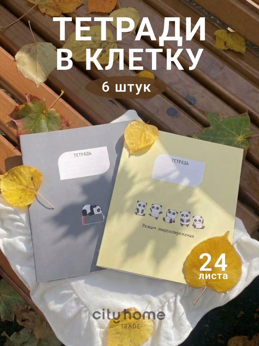 Тетради 24 листа в клетку, набор 6 шт