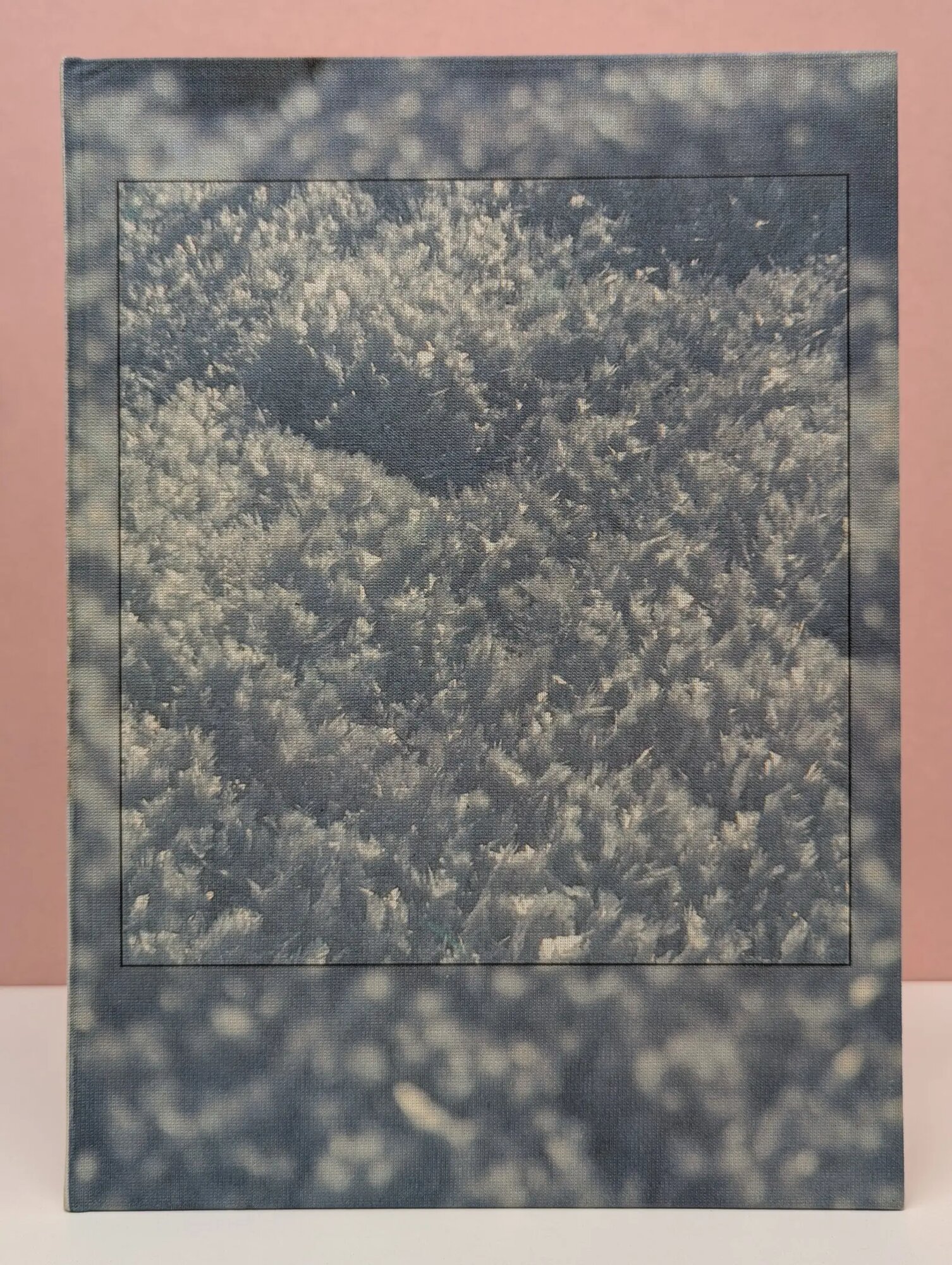 Времена года. Фотоальбом в 4 книгах. Книга 2. Зима Гиппенрейтер В. Е. 1989