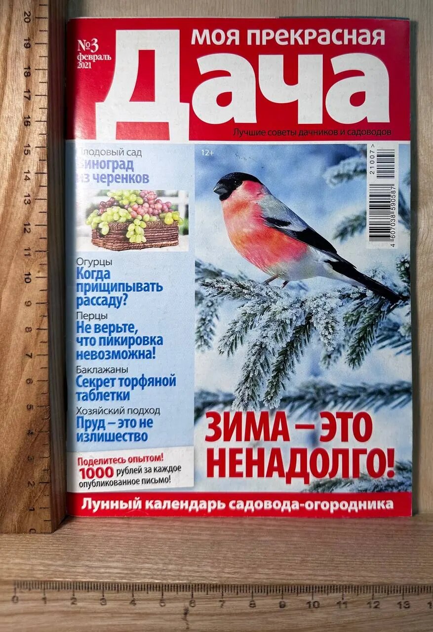 Журнал "Моя прекрасная дача" №3, февраль 2021
