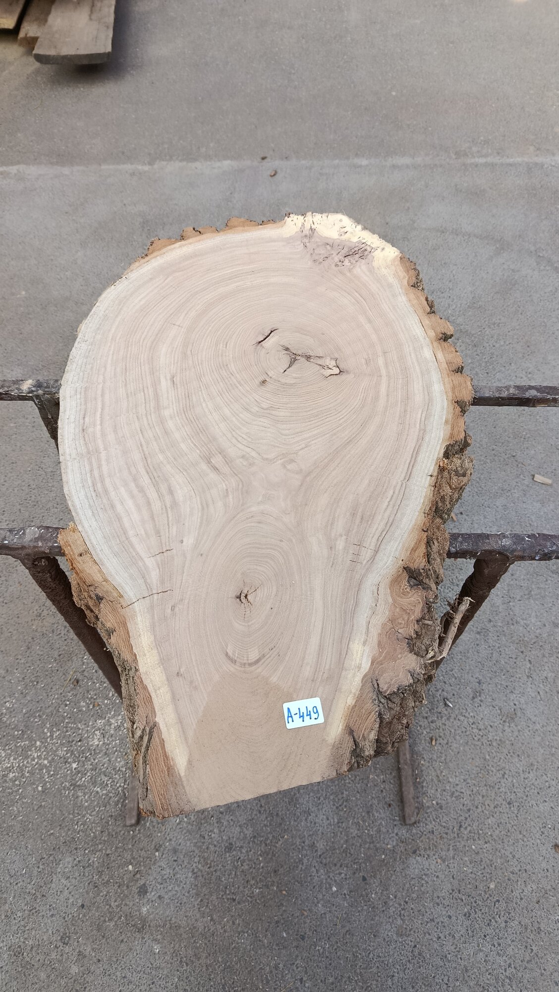 Спил из карагача, 67х40х8см (А449) высушенный и фрезерованный