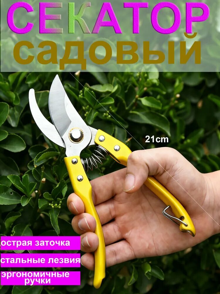 Секатор