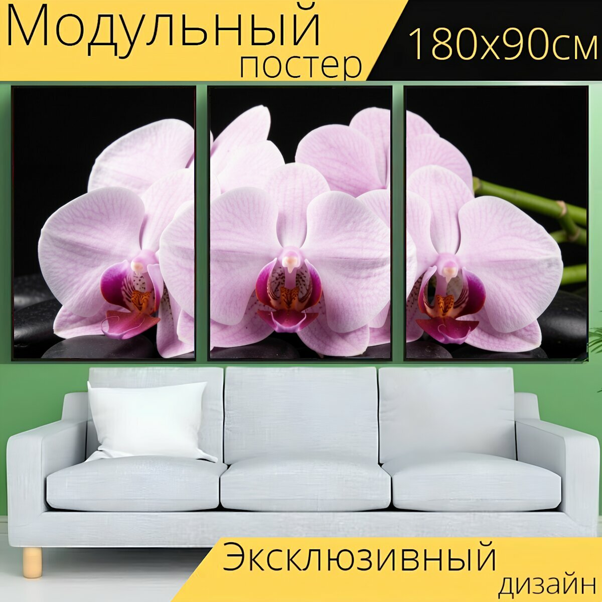 Модульный постер "Нежные орхидеи на черных камнях. Элегантная композиция с розово-белыми цветами на гладких темных камнях." 180 x 90 см. для интерьера на стену в тубусе