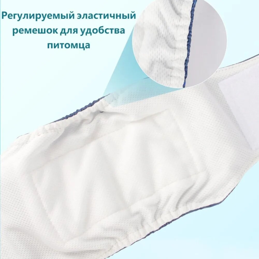 Пояс для кобелей — фото 1